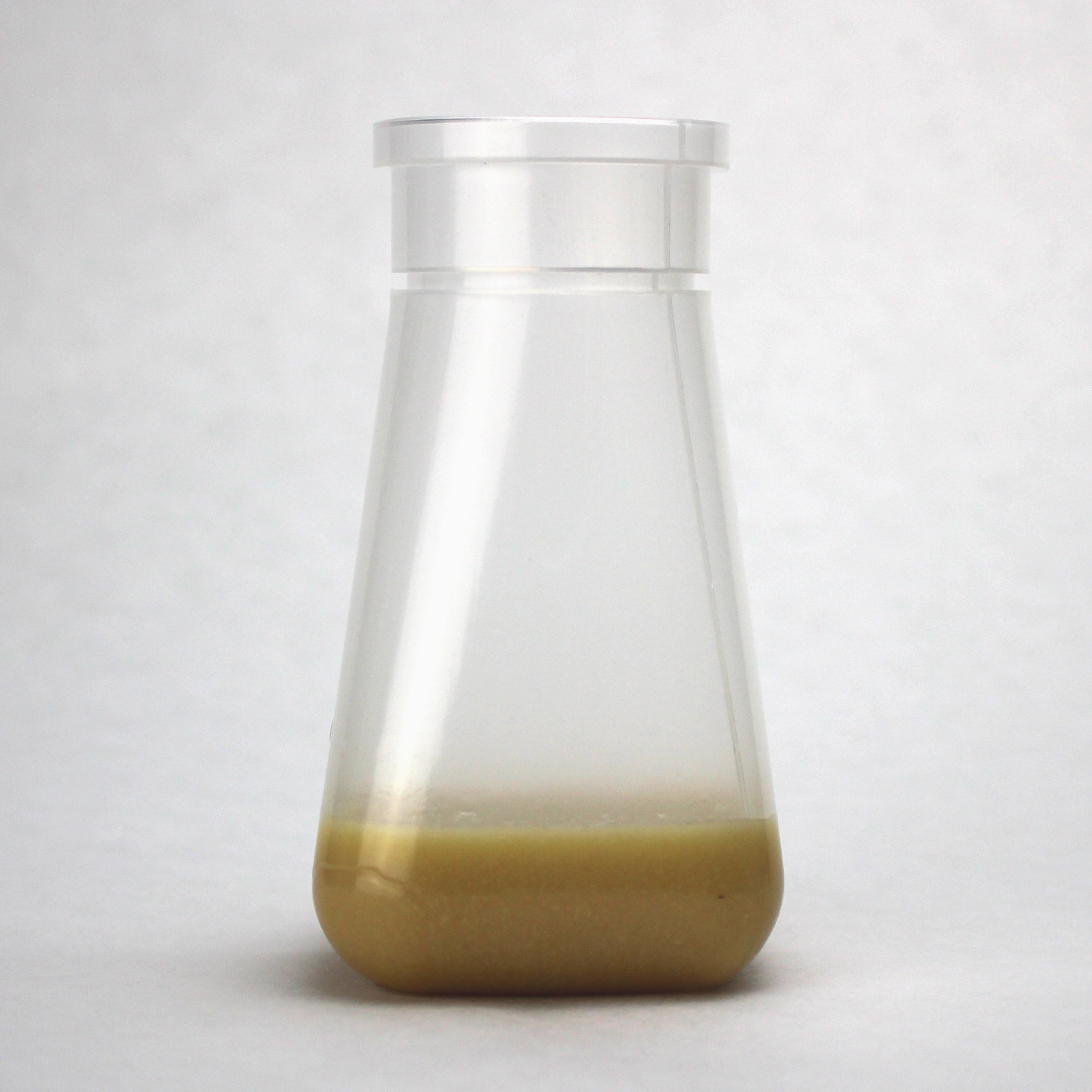 Molasses Food in Bottles | Archon Scientific, Inc. | Fly Food Made Easy™