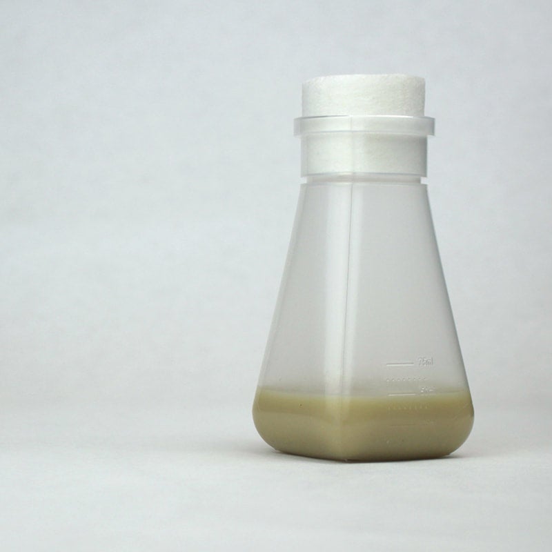 Malt Food in Bottles | Archon Scientific, Inc. | Fly Food Made Easy™